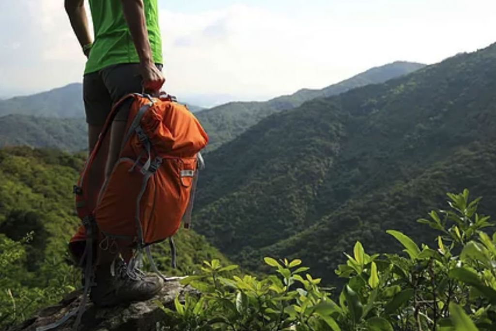 Te Urewera Treks | Whakatāne NZ