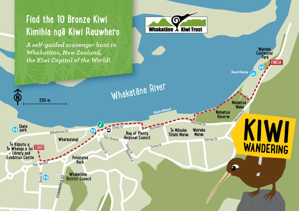 Kiwi Wandering Trail | Whakatāne NZ