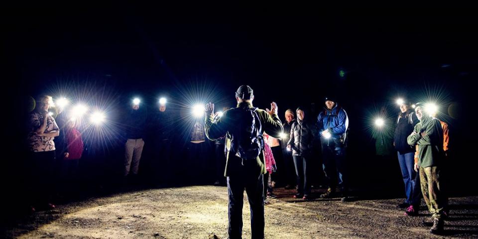 Guided Night Walks, a popular and unique experience | Whakatāne NZ