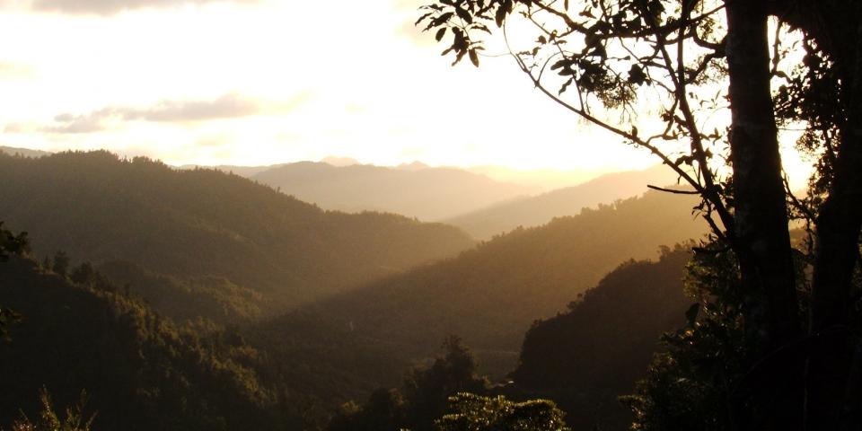 Te Urewera | Whakatāne NZ