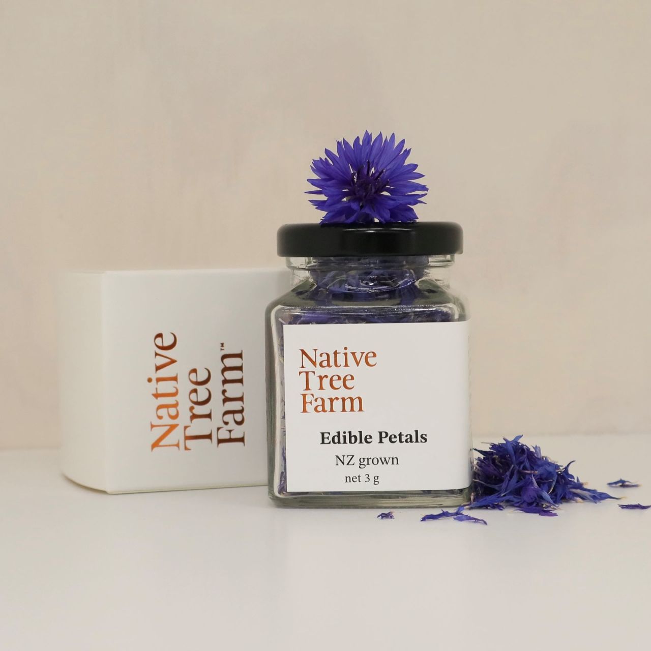 Native Tree Farm | Whakatāne NZ