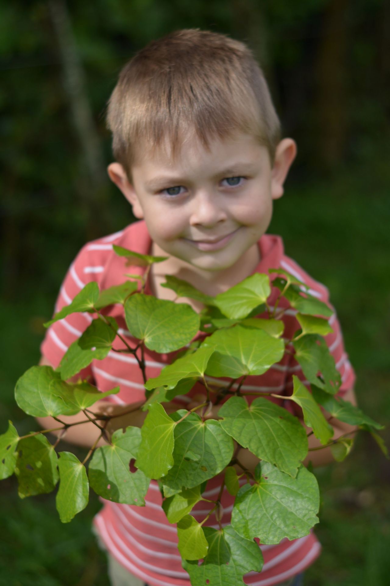 Native Tree Farm | Whakatāne NZ