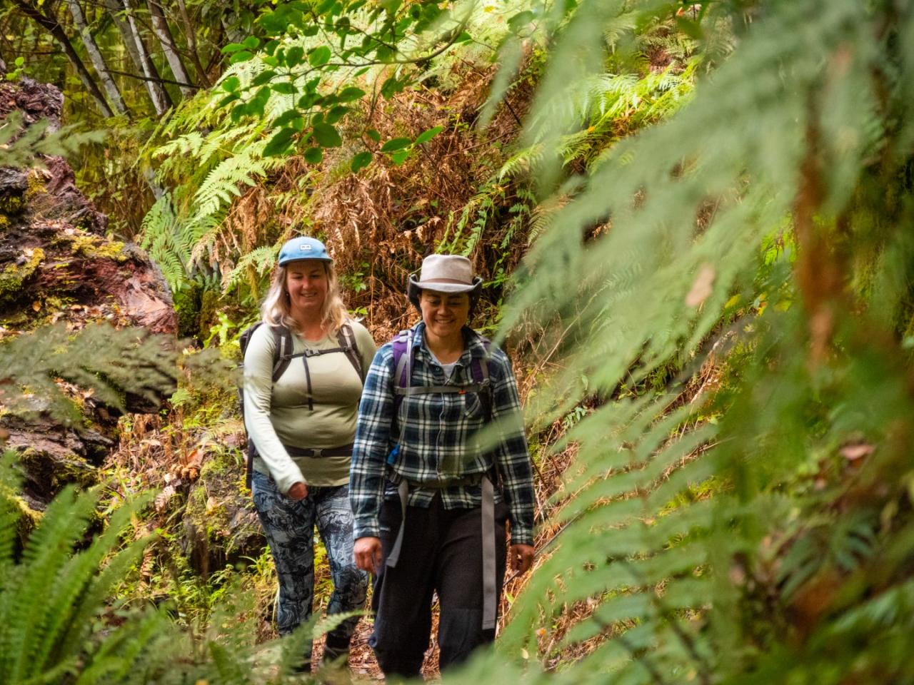 BareKiwi - Te Urewera Treks | Whakatāne NZ
