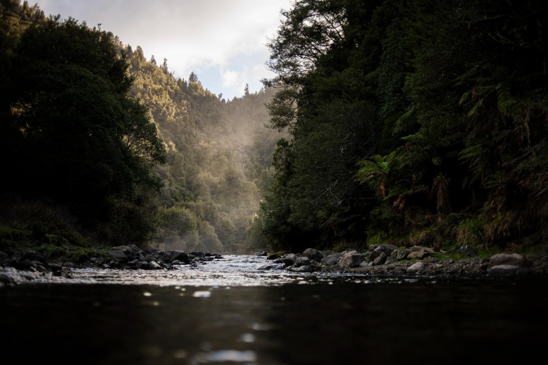 Matariki special - Māori tourism operator Te Urewera Treks | Whakatāne NZ