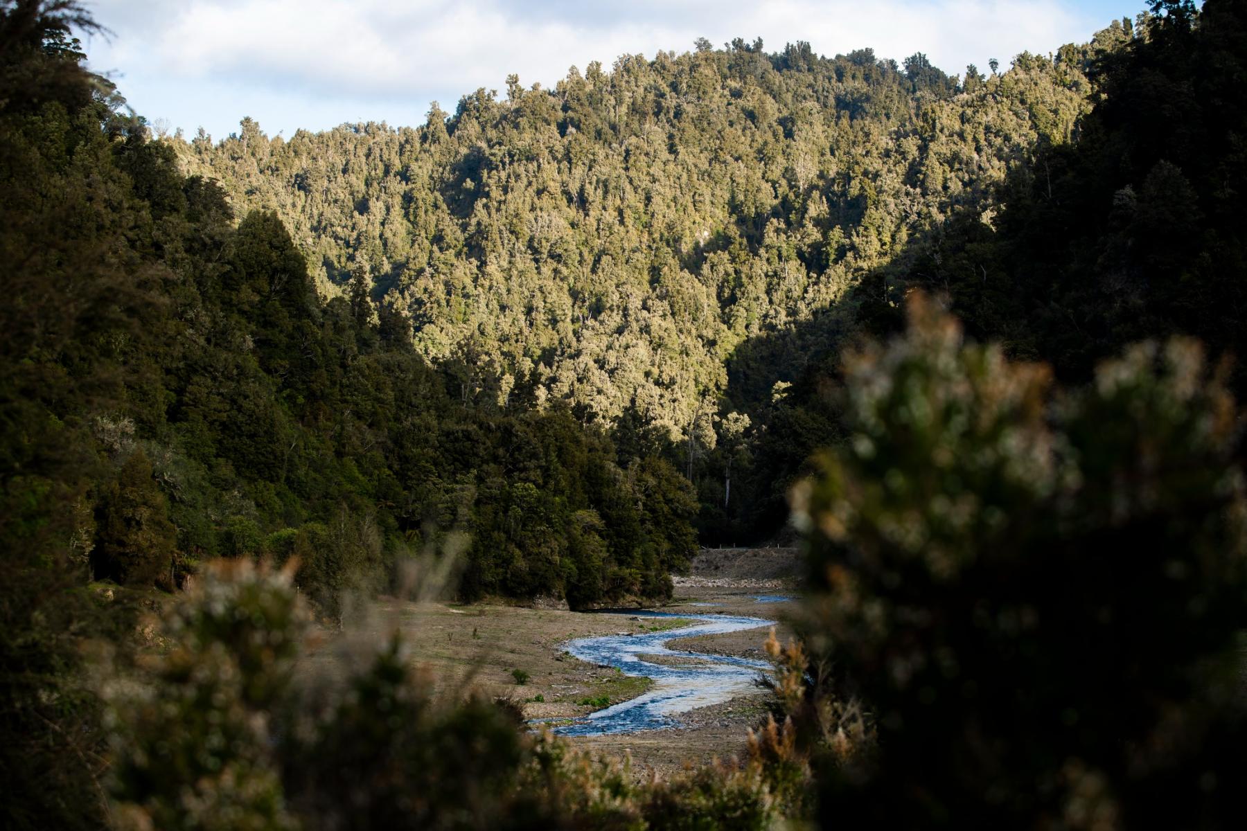 Matariki special - Māori tourism operator Te Urewera Treks | Whakatāne NZ