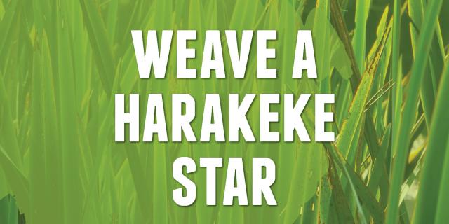 Weaving a Harakeke Star | Whakatāne NZ