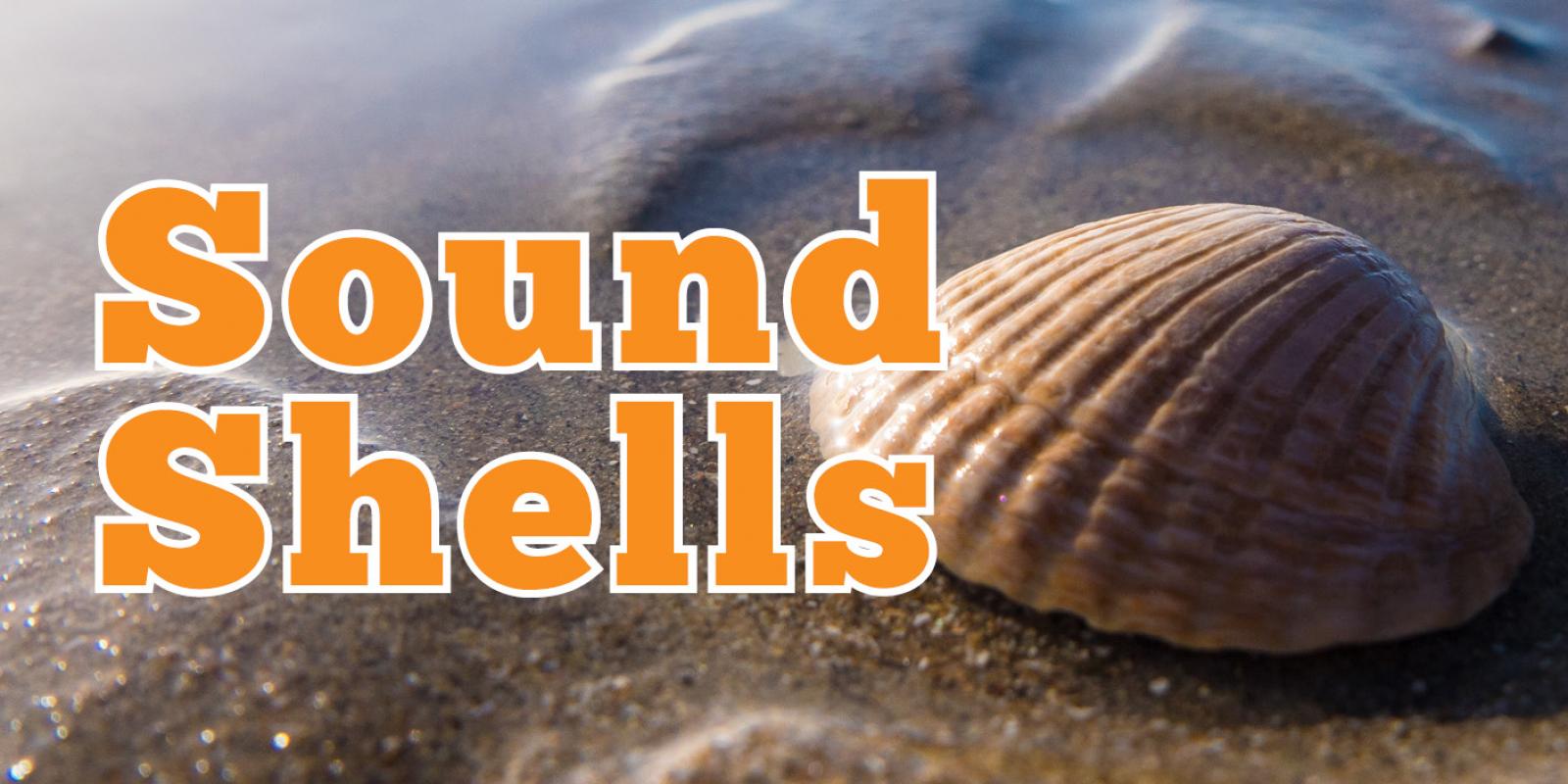 Sound Shells | Whakatāne NZ