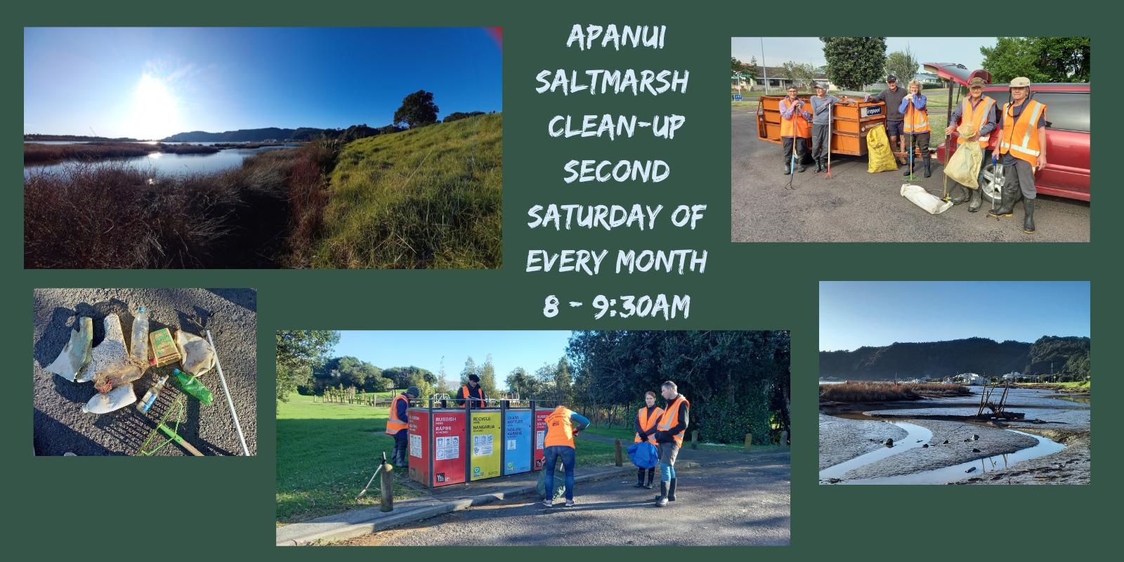 Apanui Saltmarsh Clean-up | Whakatāne NZ