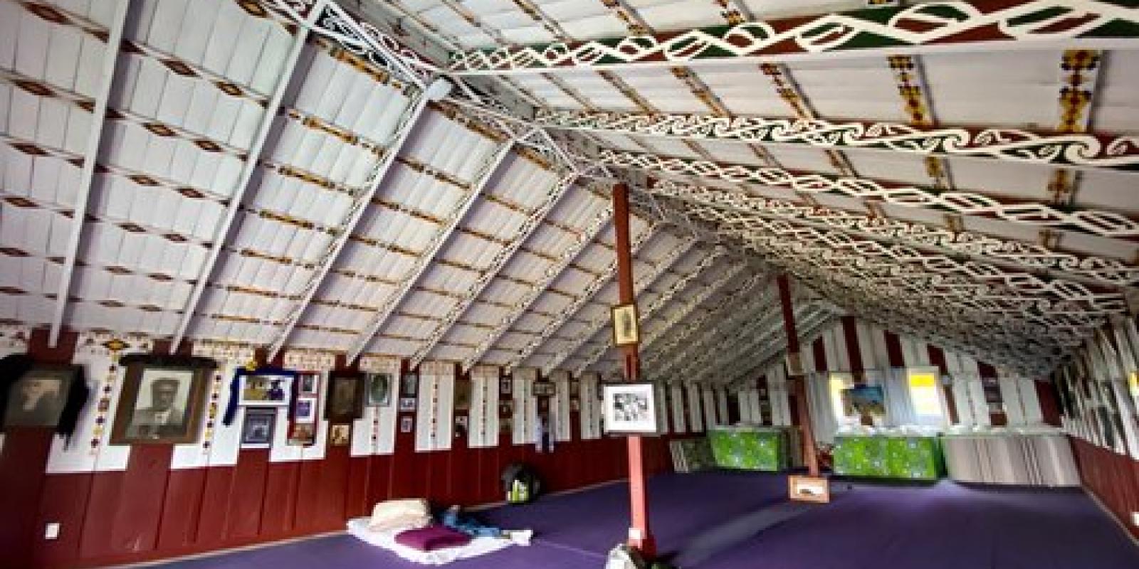 Te Urewera: how to experience the natural world in a new way | Whakatāne NZ