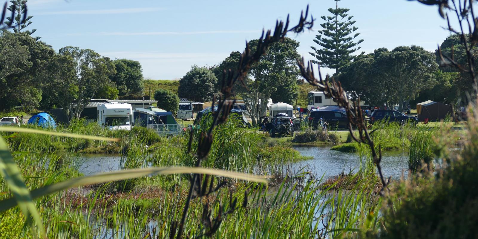 Matata Campsite | Whakatāne NZ