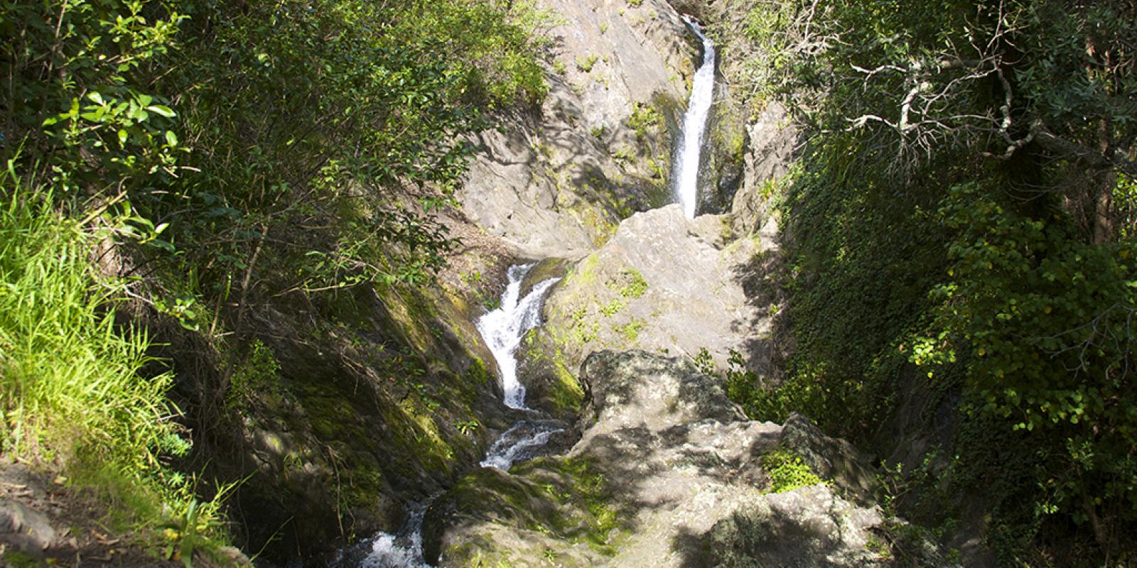 Wairere Falls | Whakatāne NZ