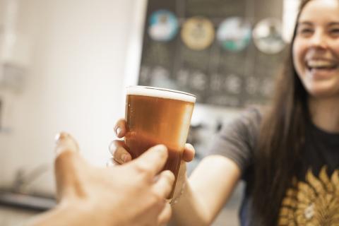 Whakatāne Events Guide, Bay of Plenty NZ