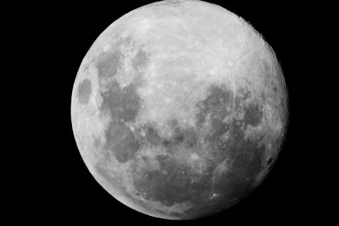 Whakatāne Town | Whakatāne NZ